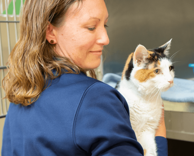 Edwardsville - Hawthorne Animal Hospital Ltd.